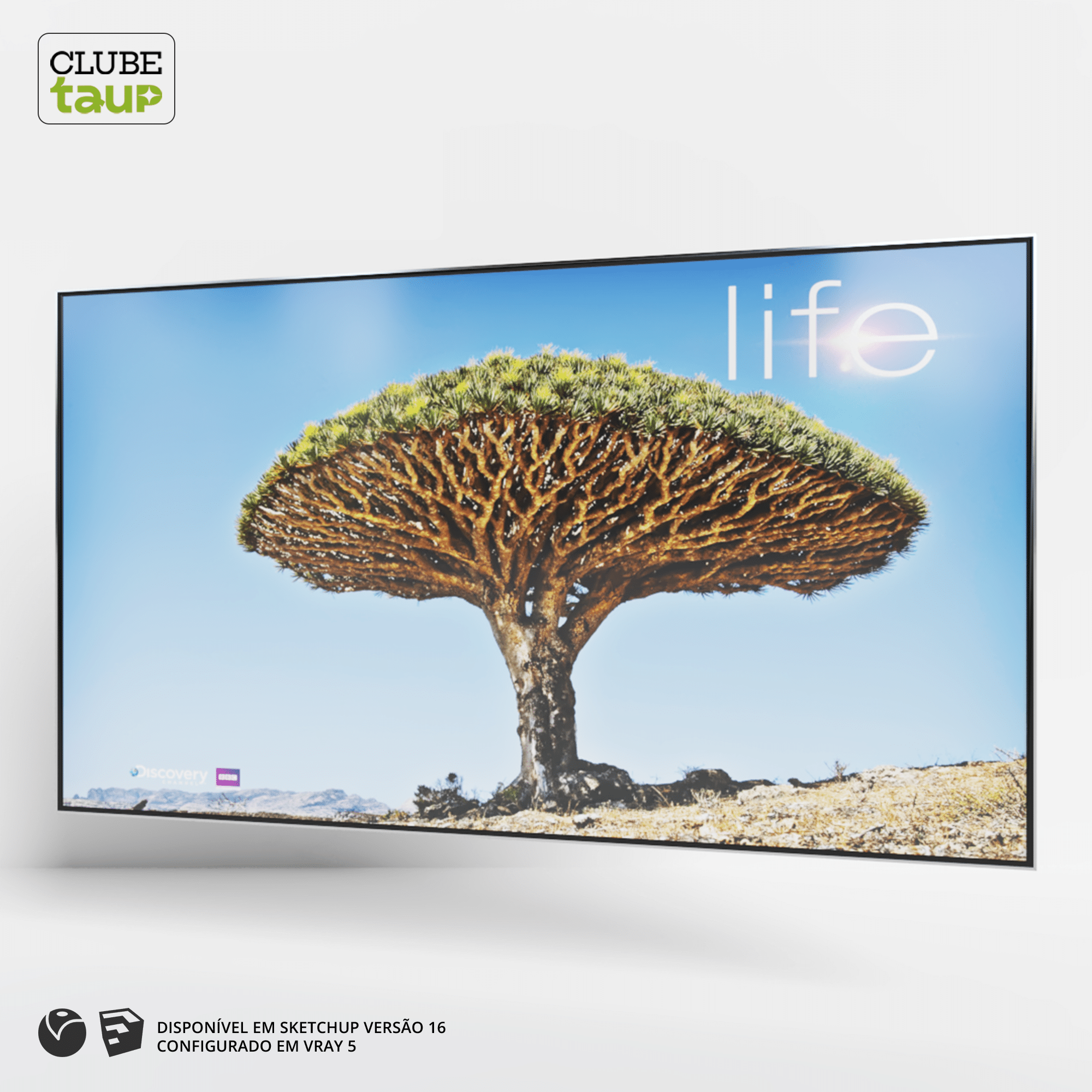 TELEVISÃO 08 – Clube Taup